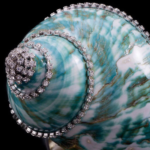 Swarovski Crystal Jade Turbo Shell Napkin Ring Set | Nautical Luxuries