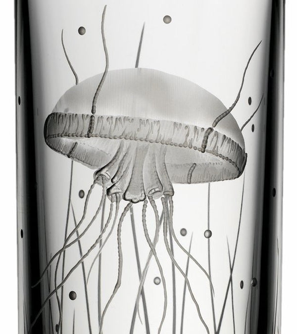 Sea Creatures Hand Engraved Varga Crystal 6-Pc. Hi-Ball Glass Sets ...