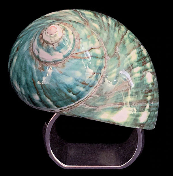 Natural Jade Turbo Shell Luxury Napkin Ring Set | Nautical Luxuries