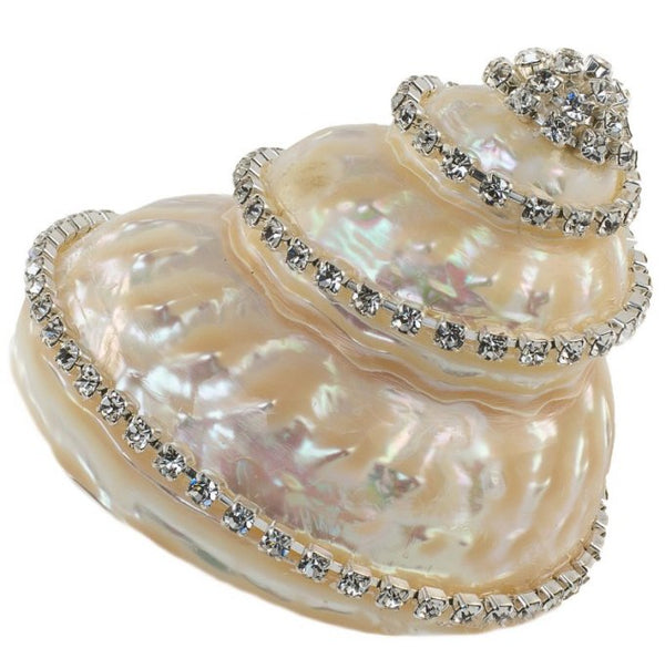 Neptune's Jewels Crystal Shell Collection Astraea Undosa– Nautical Luxuries